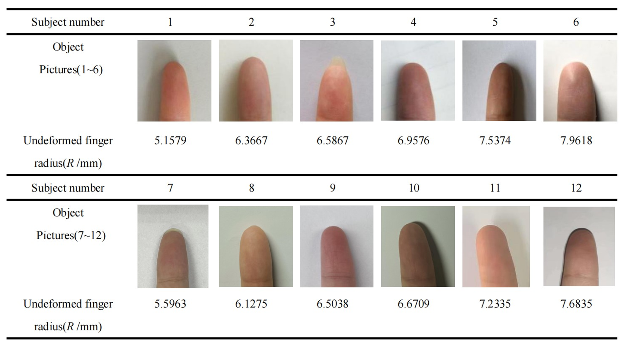 MS - Experimental study on fingertip friction perception ...